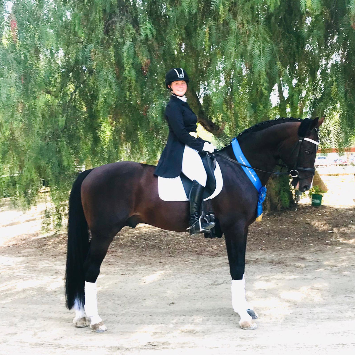 Meet My Horse - Dressage rider Mackenzie Hamblin and Chevalier – Equsani