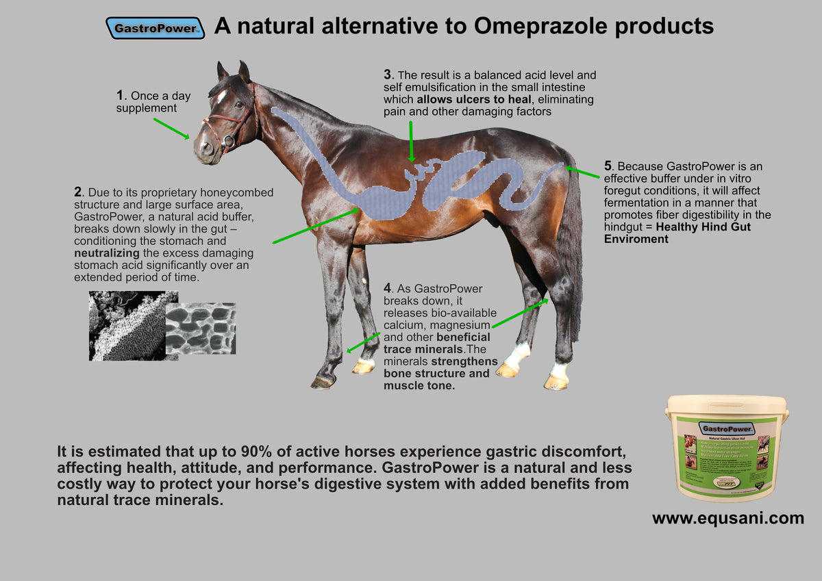 Superior Equine Supplements | Horse Care Products