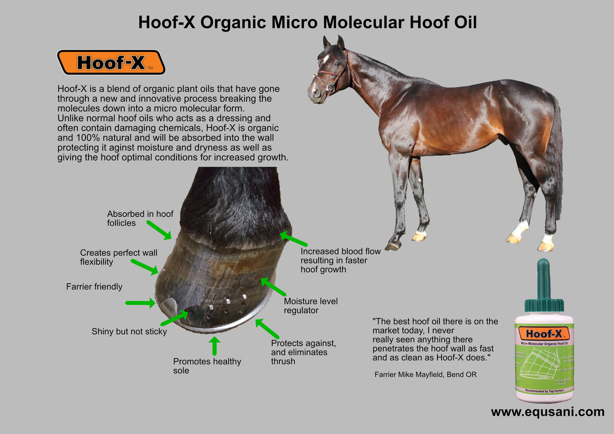 Hoof-X | Organic Hoof Treatment & Care | Equsani
